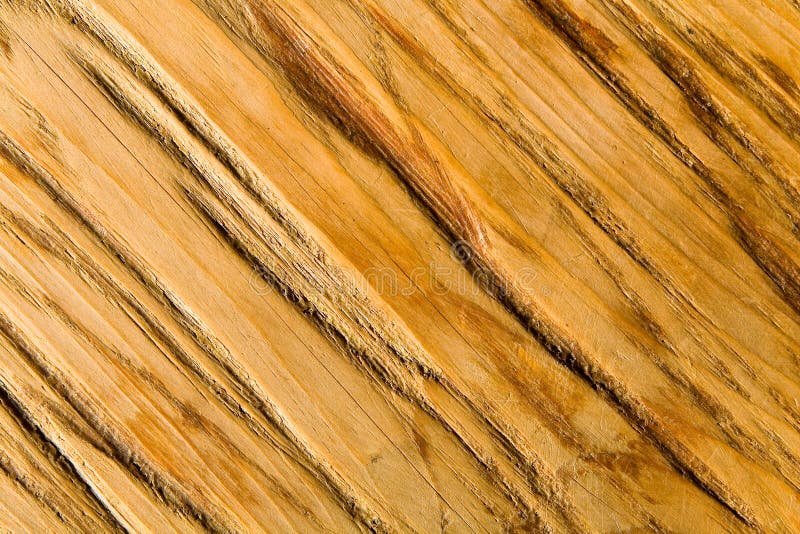 A Cut of a Tree with a Unique Pattern Stock Image - Image of slice ...