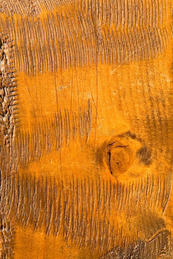 A Cut of a Tree with a Unique Pattern Stock Image - Image of closeup ...