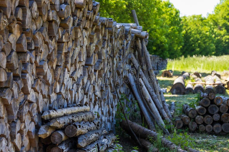Cut Trees for Logs are Stacked and Prepared for Heating Stock Image ...