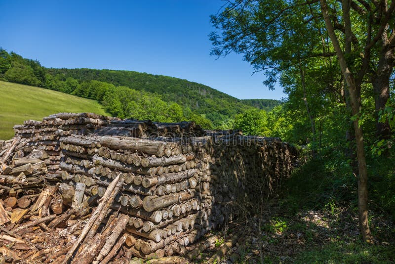 Cut Trees for Logs are Stacked and Prepared for Heating Stock Image ...
