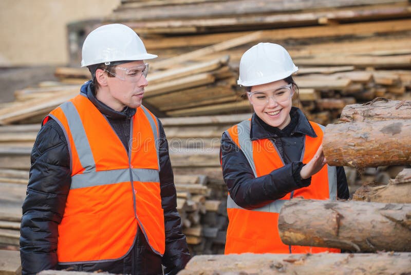 Cut trees and workers stock image. Image of manager, lumbering - 80294051