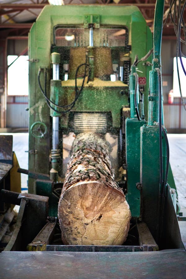 Cut Trunks Small Factory Stock Photos - Free & Royalty-Free Stock ...