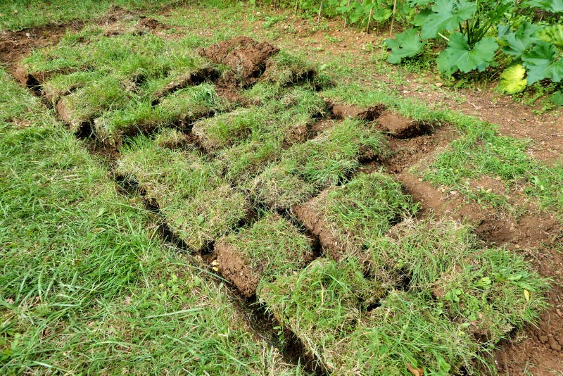 Cut Turf stock photo. Image of surface, landscape, gardening - 251069012