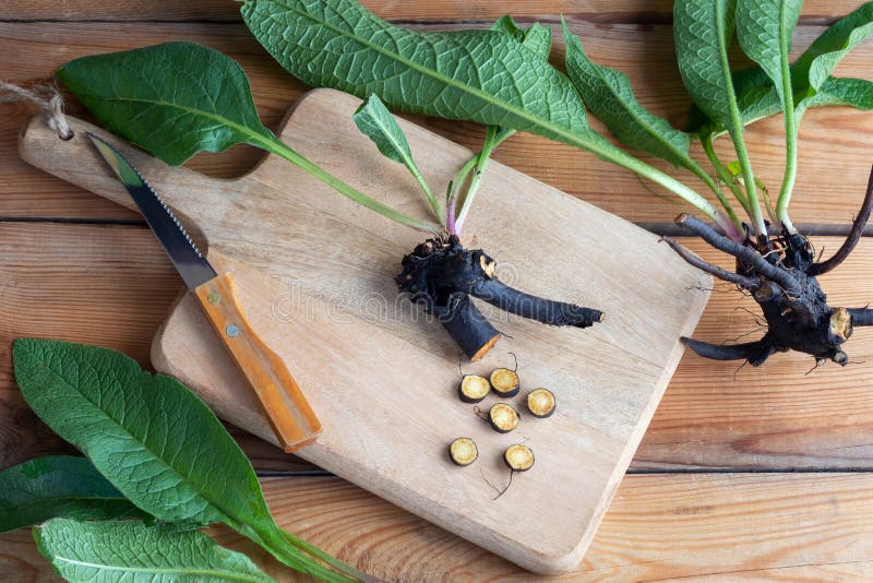 Cut-up Comfrey Root on a Table Stock Image - Image of alternative ...