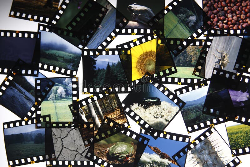 Cut up slide film stock image. Image of media, transparent - 7915979