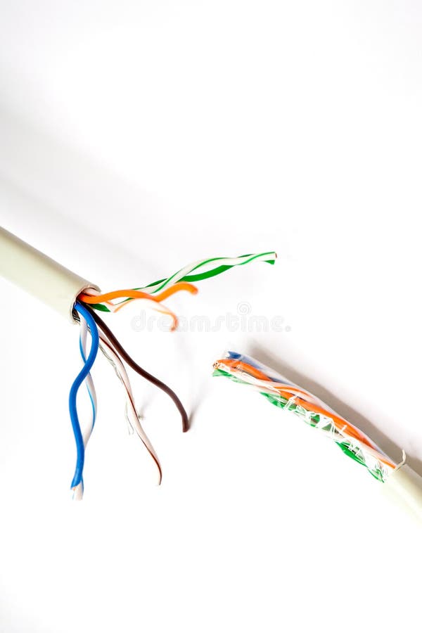 Cut Up White Network Cable or Patch Cable in Cross Section Stock Image ...