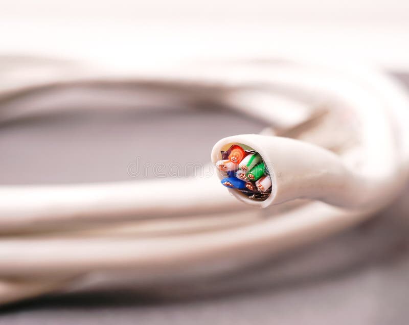 Cut Up White Network Cable or Patch Cable in Cross Section Stock Image ...