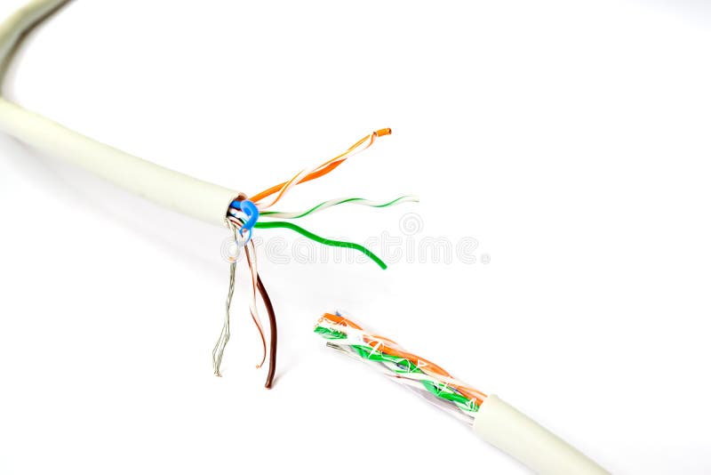 Cut Up White Network Cable or Patch Cable in Cross Section Stock Photo ...