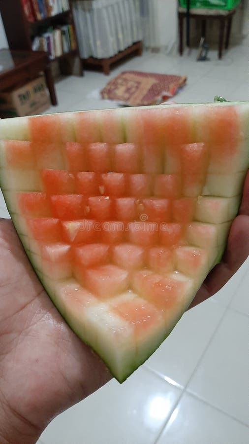 Cut watermelon rind stock photo. Image of fruit, food - 220061466