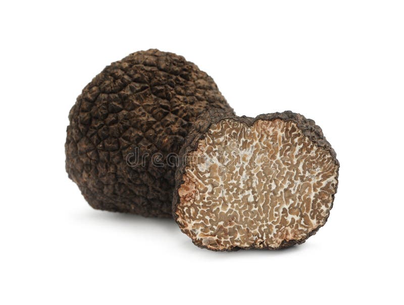 Cut and Whole Black Truffles Isolated on White Stock Photo - Image of ...