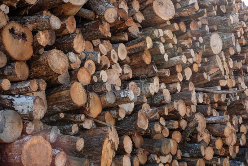 Timber Logs in a Huge Stack Stock Photo - Image of lumber, stack: 197291830