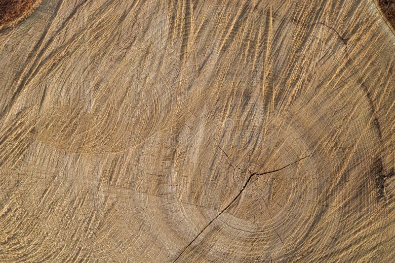 Cut Wood Texture Background Stock Image - Image of brown, cross: 114394679