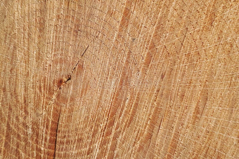 Cut Wood Texture Background Stock Photo - Image of material, wood ...