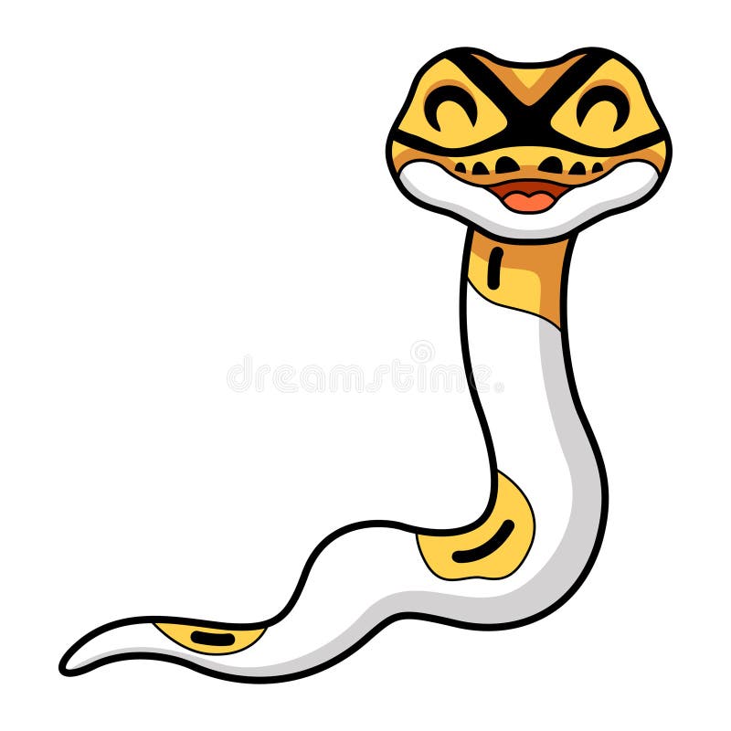 Cute Albino Pied Ball Python Cartoon Stock Vector - Illustration of ...