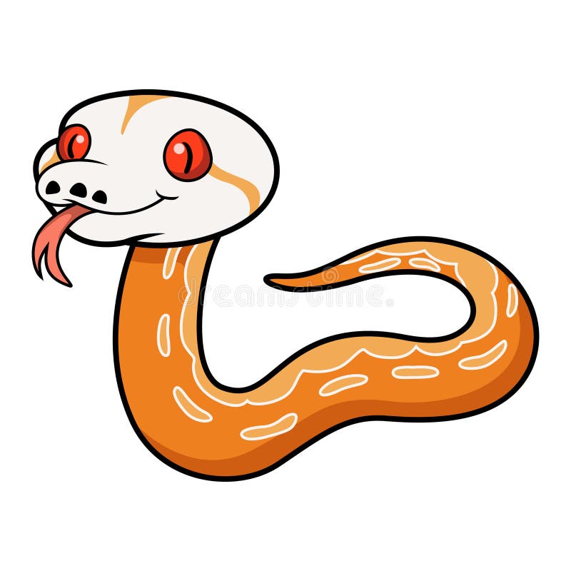 Cute Albino Sunfire Tiger Het Genetic Stripe Reticulated Python Stock ... Cute Albino Sunfire Tiger Het Genetic Stripe Reticulated Python Stock ...