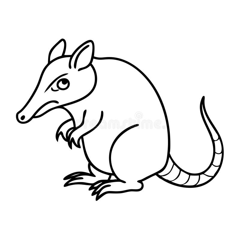 Cute Armadillo Line Art Vector Illustration for Coloring Books and ...