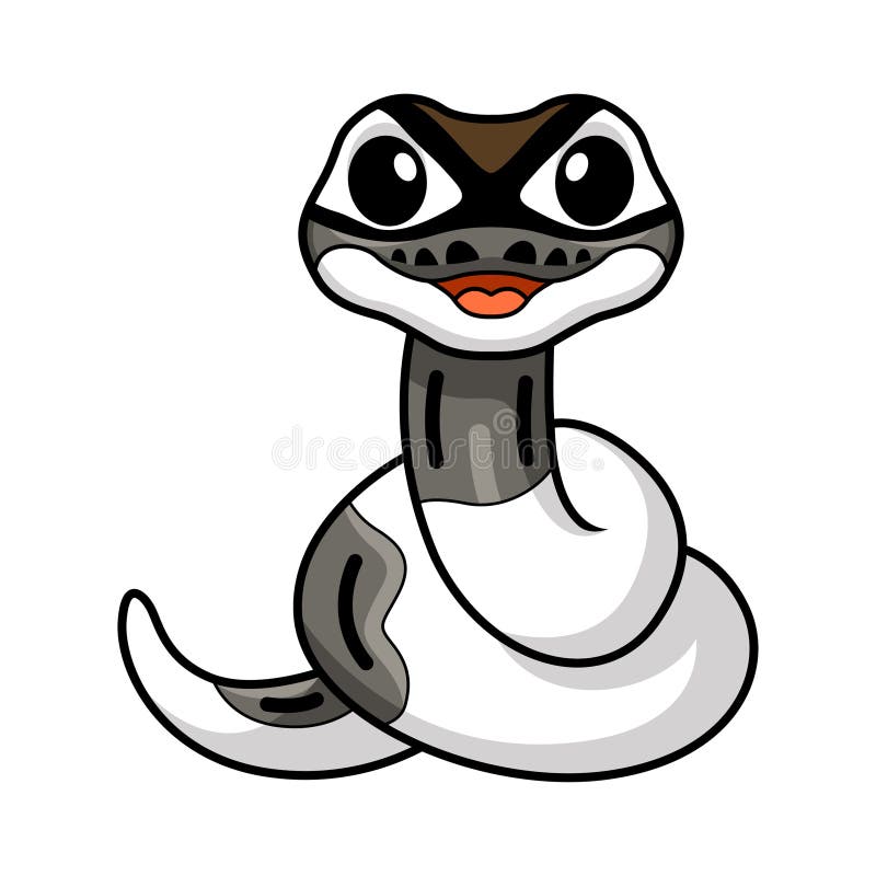 Cute Axanthic Pied Ball Python Cartoon Stock Vector - Illustration of ...