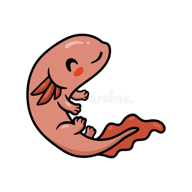 Cute Axolotl Cartoon Vector Illustration Stock Vector - Illustration of ...