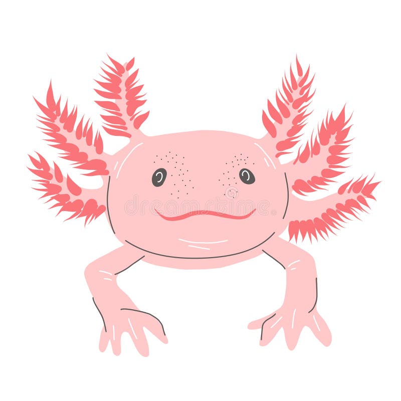 Water Axolotl Stock Illustrations – 506 Water Axolotl Stock ...