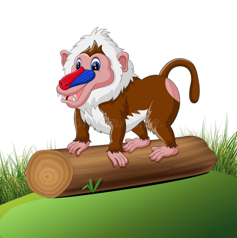 Cute baboon stock vector. Illustration of posing, baboon - 68162212