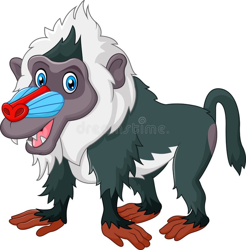 Baboon stock vector. Illustration of monkey, animal, drawing - 19061600