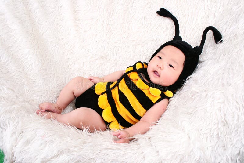 Baby bee stock photo. Image of smiling, costume, funny - 26760050