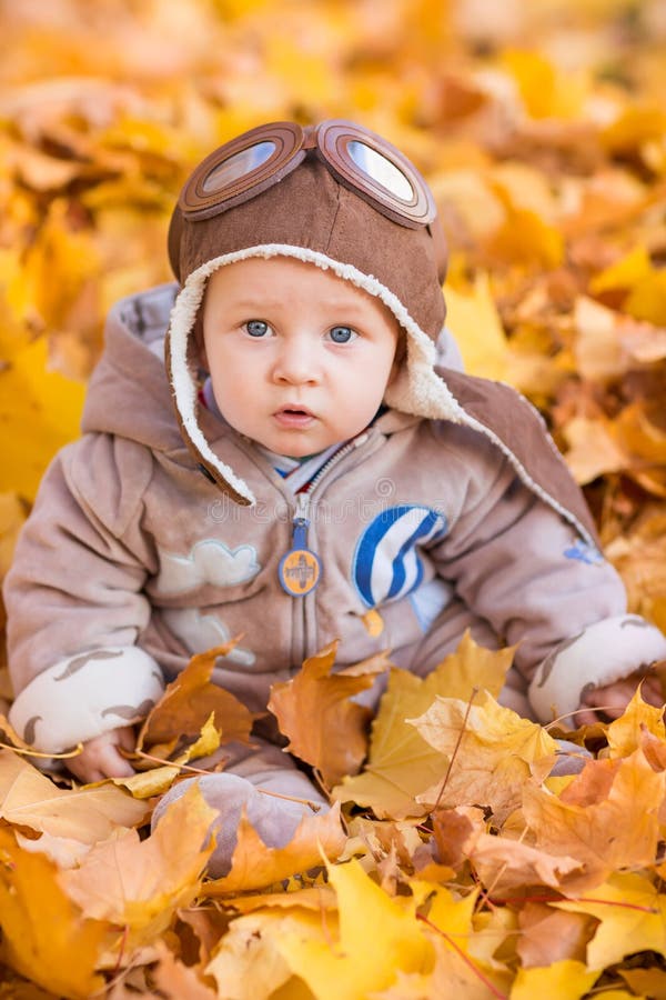 28,649 Baby Autumn Leaves Stock Photos - Free & Royalty-Free Stock ...
