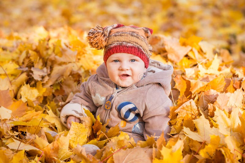 Cute Baby in Autumn Leaves. Stock Photo - Image of face, leaves: 59719424