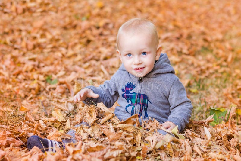 Cute Baby in Autumn Leaves. Stock Photo - Image of fall, autumn: 60392410