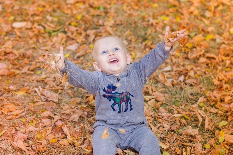 Cute Baby in Autumn Leaves. Stock Photo - Image of portrait, beautiful ...
