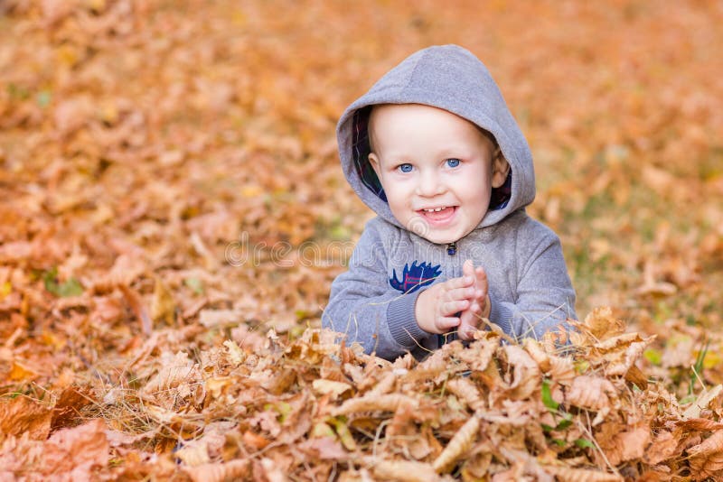 Cute Baby in Autumn Leaves. Stock Image - Image of family, childhood ...