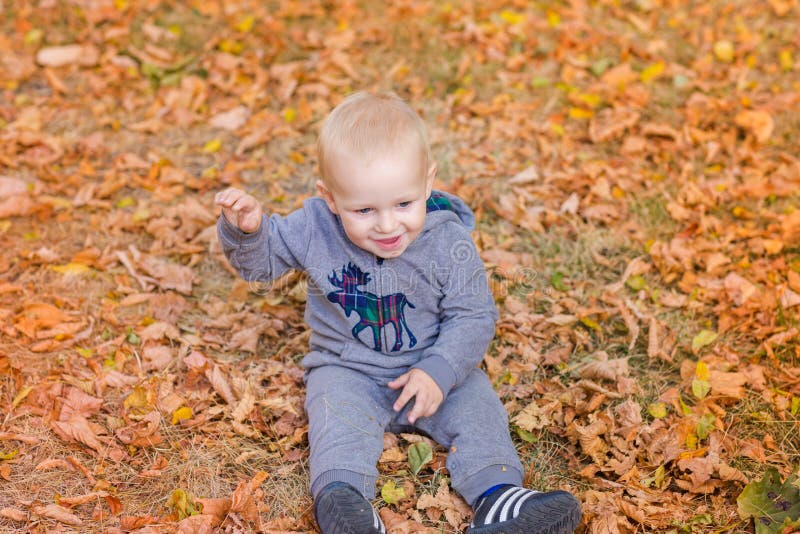 Cute Baby in Autumn Leaves. Stock Photo - Image of child, outside: 60396414