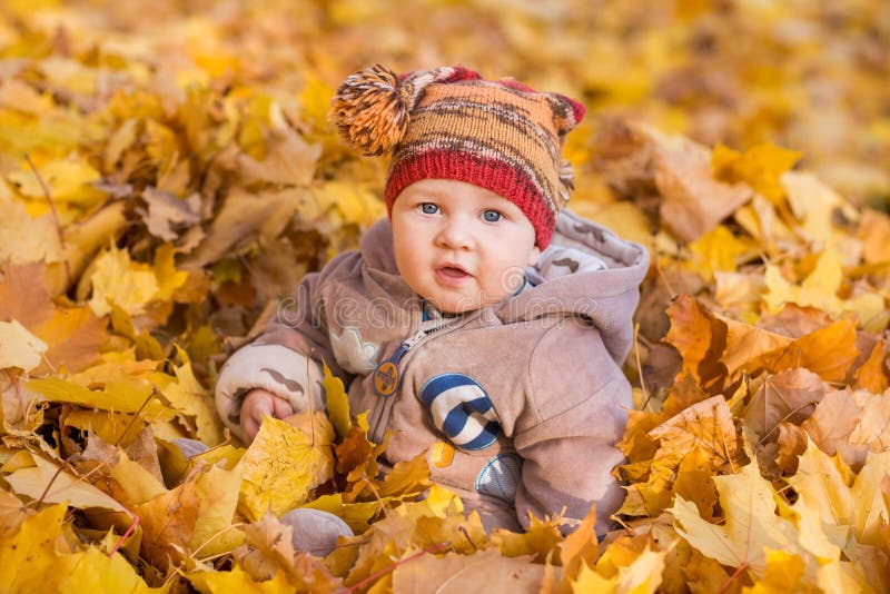 Cute Baby in Autumn Leaves. Stock Image - Image of little, child: 60701081