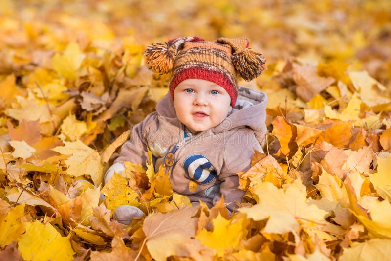 Cute Baby in Autumn Leaves. Stock Image - Image of face, infant: 60701109