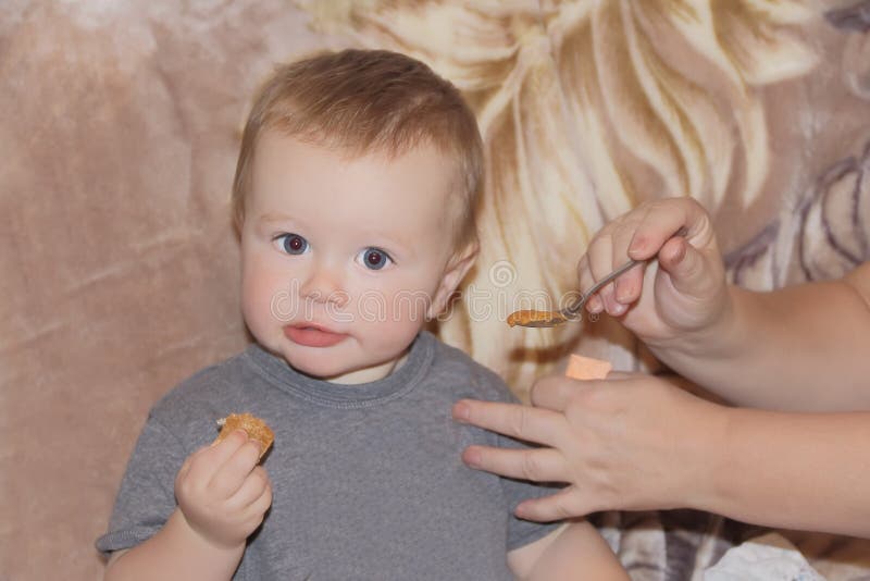 Cute baby boy eating bread stock image. Image of baby - 31483927
