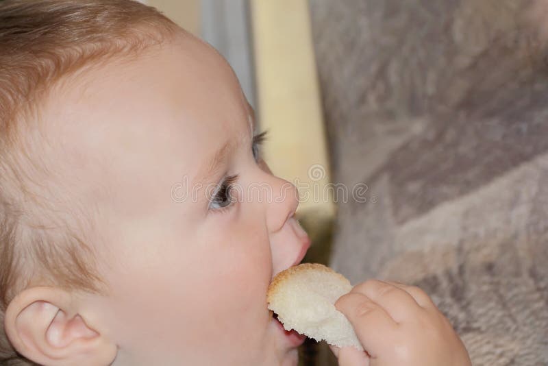 Cute baby boy eating bread stock image. Image of cute - 38827219