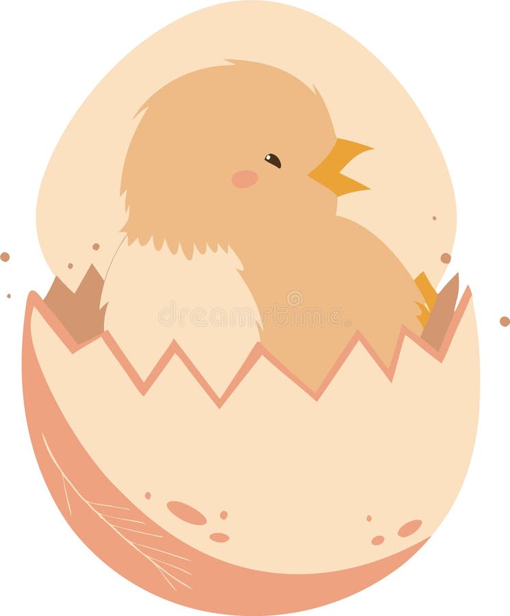 Cute Baby Chick Hatching from an Egg Stock Illustration - Illustration ...