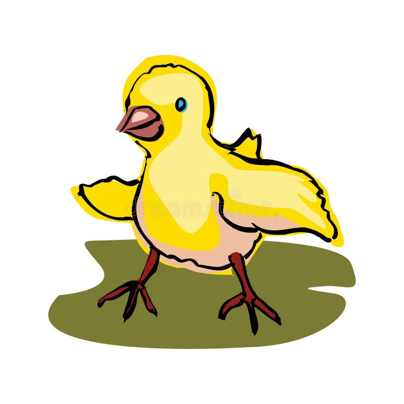 Cute Baby Chick Shows a Side Isolated on a White Background Stock ...