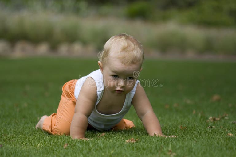 Cute Baby Crawling on Grass Stock Photo - Image of children, crawl: 2026286