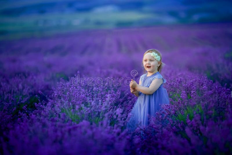Cute Baby in the Flowering Field of Lavender. Stock Image - Image of ...