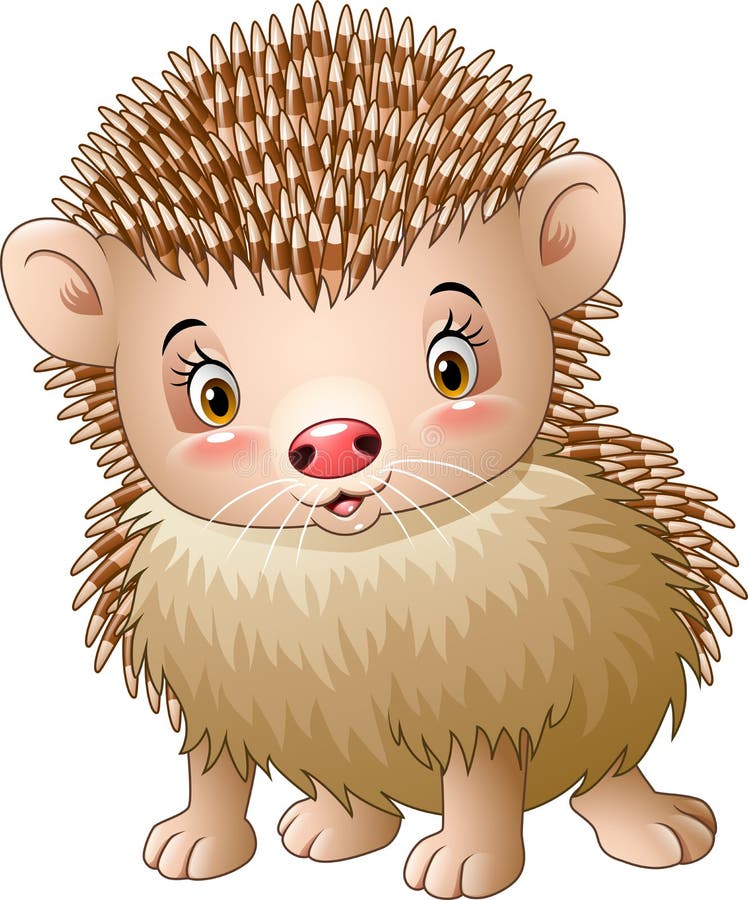 Cute baby hedgehog stock vector. Illustration of baby - 79088327
