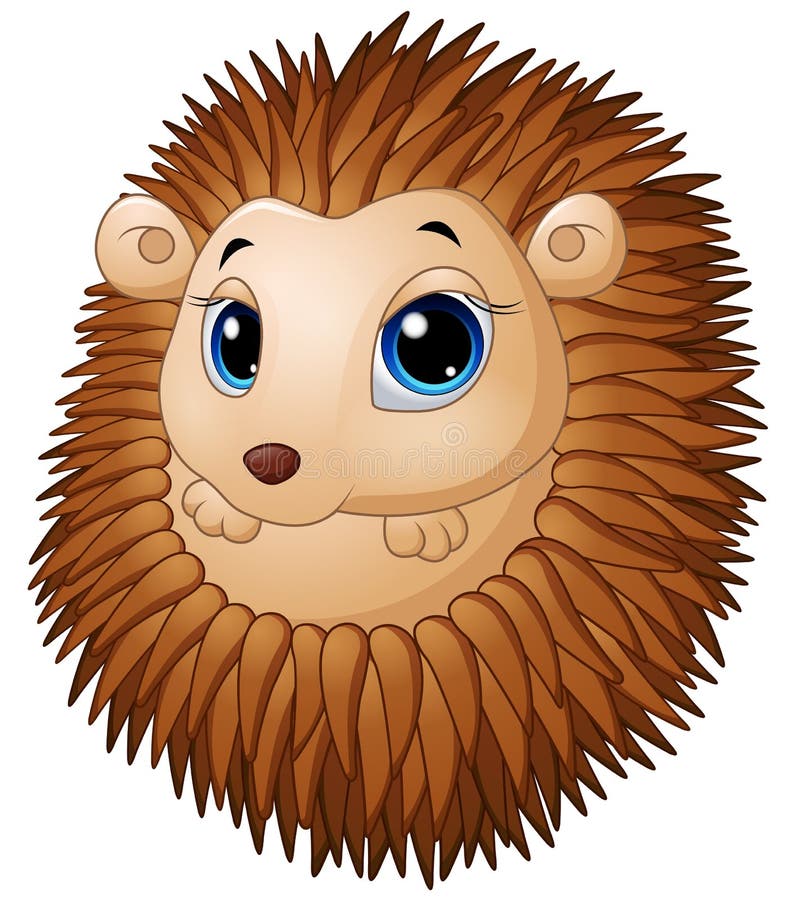 Cute hedgehog cartoon stock vector. Illustration of porcupine - 107482713