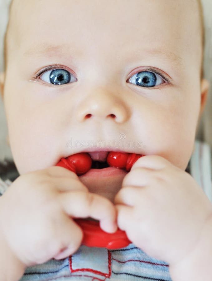 Baby biting a toy stock image. Image of offspring, cropped - 30263457