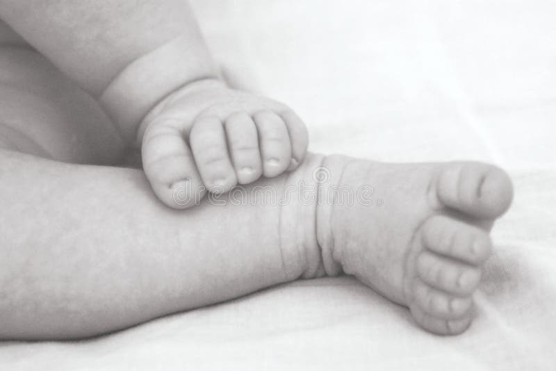 Cute Baby Toes stock image. Image of baby, babies, feet - 72115