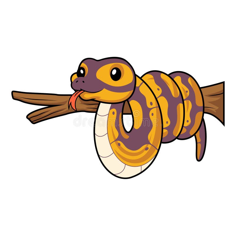 Cute Banana Ball Python Snake Cartoon on Tree Branch Stock Vector ...