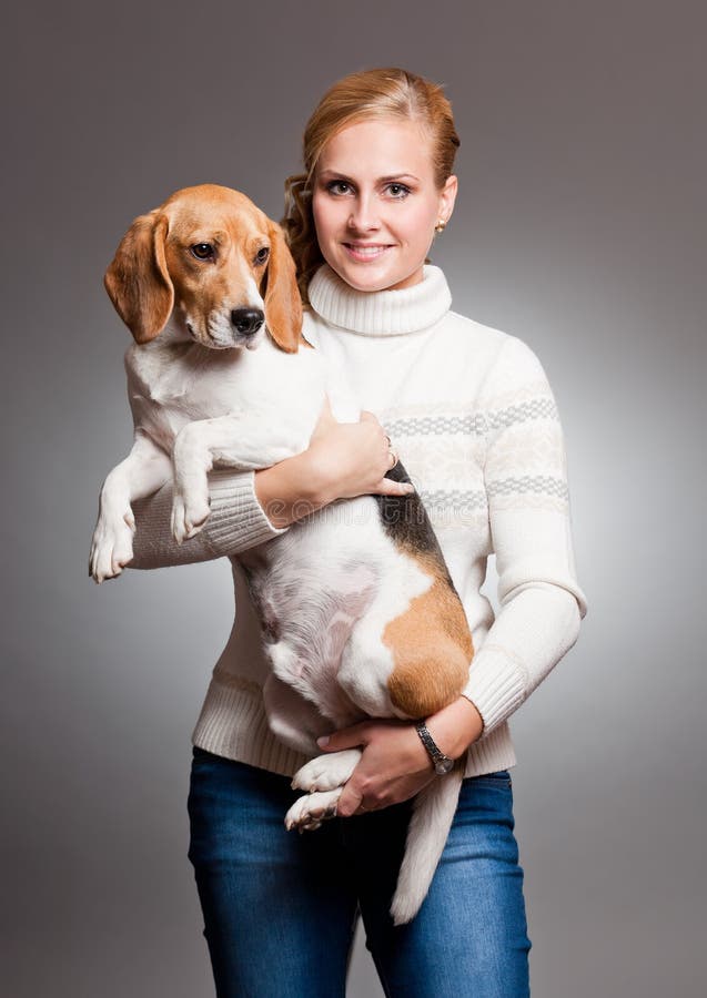 Cute beagle. stock photo. Image of portrait, standing - 39337310