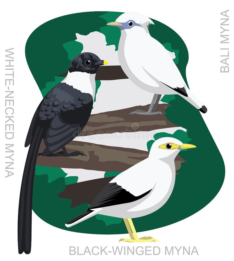 Mrnah Stock Illustrations – 2 Mrnah Stock Illustrations, Vectors ...