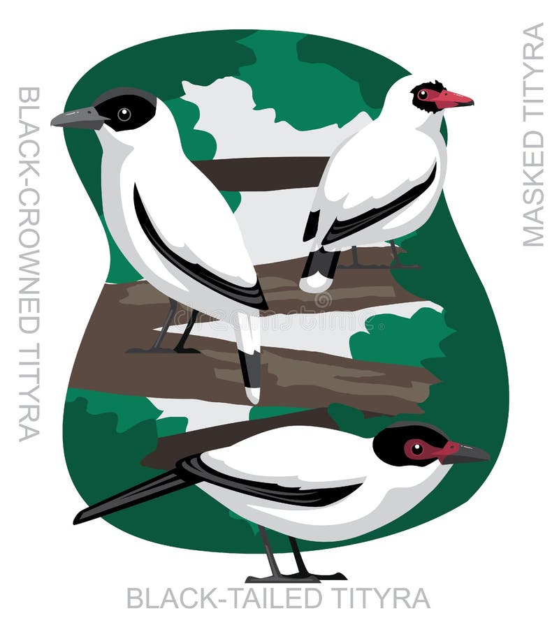 Cute Bird Black Swift Set Cartoon Vector Stock Vector - Illustration of ...