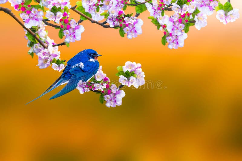 Cute Bird in a Tree with Spring Flowers in Bloom. Nature Background ...