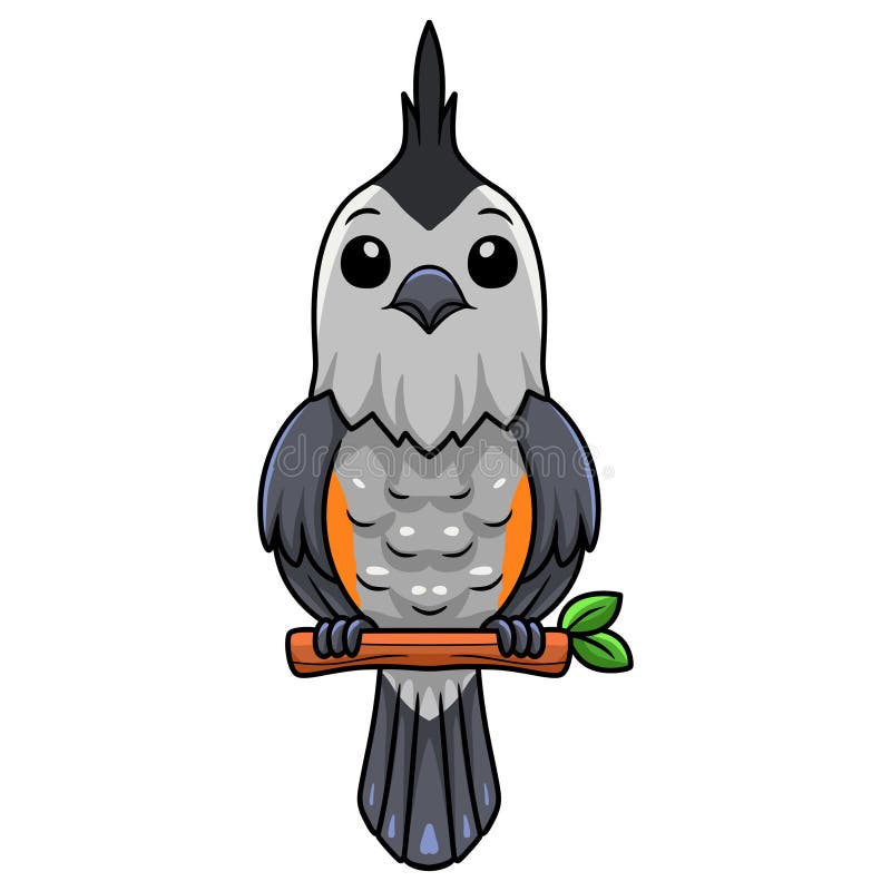 Cute Black Crested Titmouse Cartoon on Tree Branch Stock Vector ...